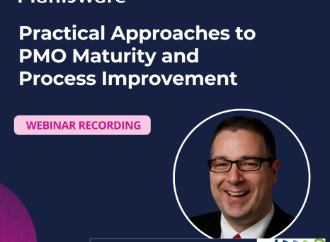 How to choose the right PMO type and organizational structure | Planisware